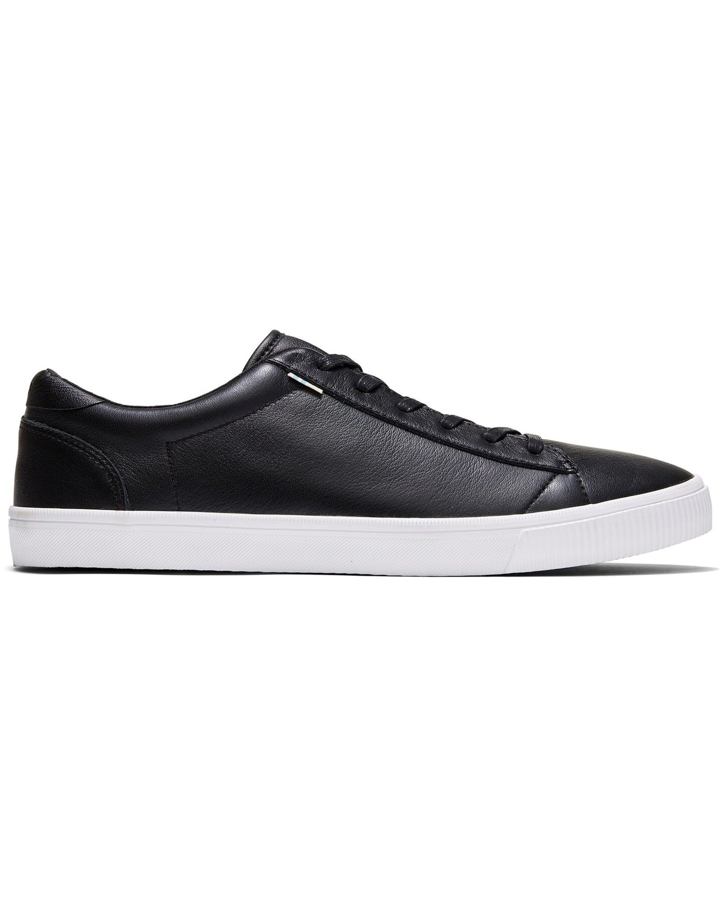 Toms Carlson Sneaker | Jacamo